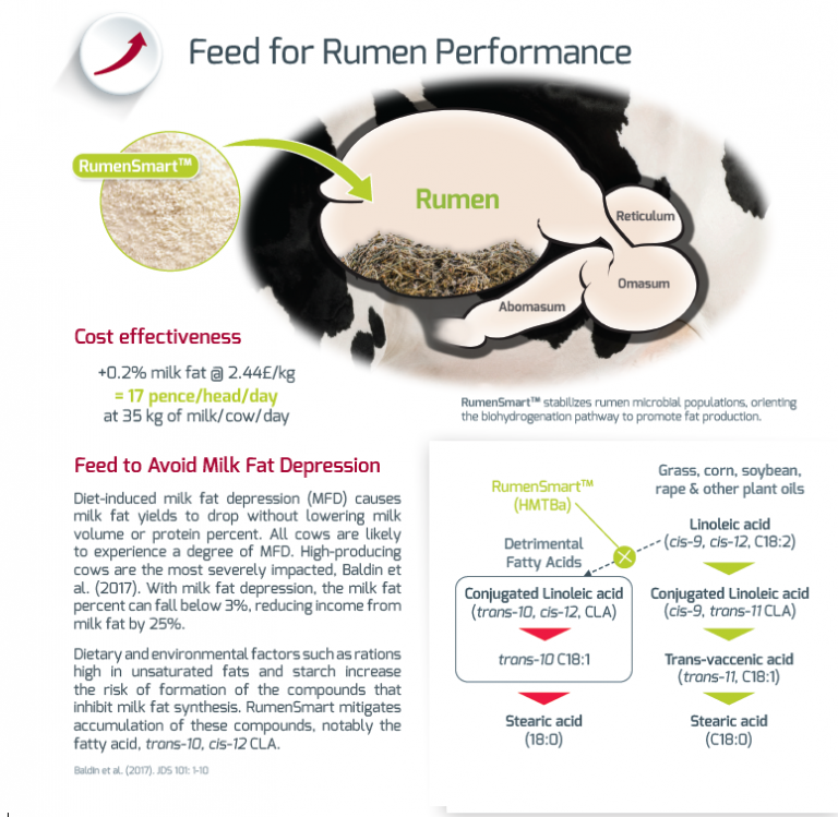 RumenSmart - Rumen Supplies